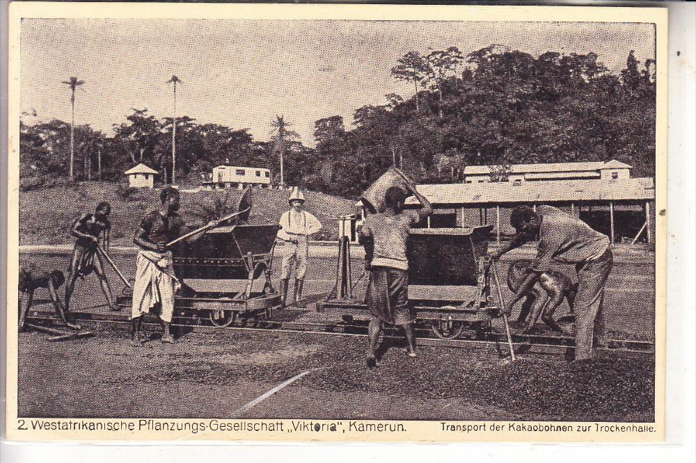 DEUTSCHE KOLONIEN - KAMERUN, Kakao-Ges. Viktoria, Schmallspurbahn Nr ...
