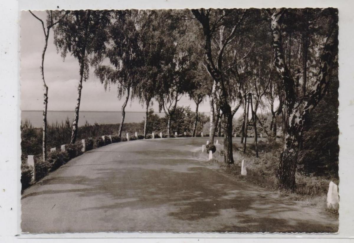 OSTPREUSSEN - TOLKEMIT-CADINEN / TOLKMICKO-KADYNY (Allenstein), Haff ...