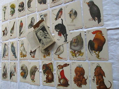 Der Artikel mit der oldthing-id 29156660 ist aktuell ausverkauft.