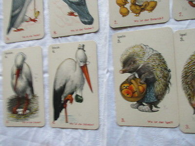 Der Artikel mit der oldthing-id 29156660 ist aktuell ausverkauft.