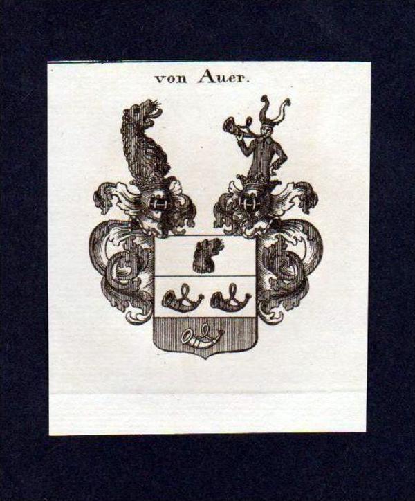 Freiherren von Auer Original Kupferstich Wappen Heraldik coat of arms ...