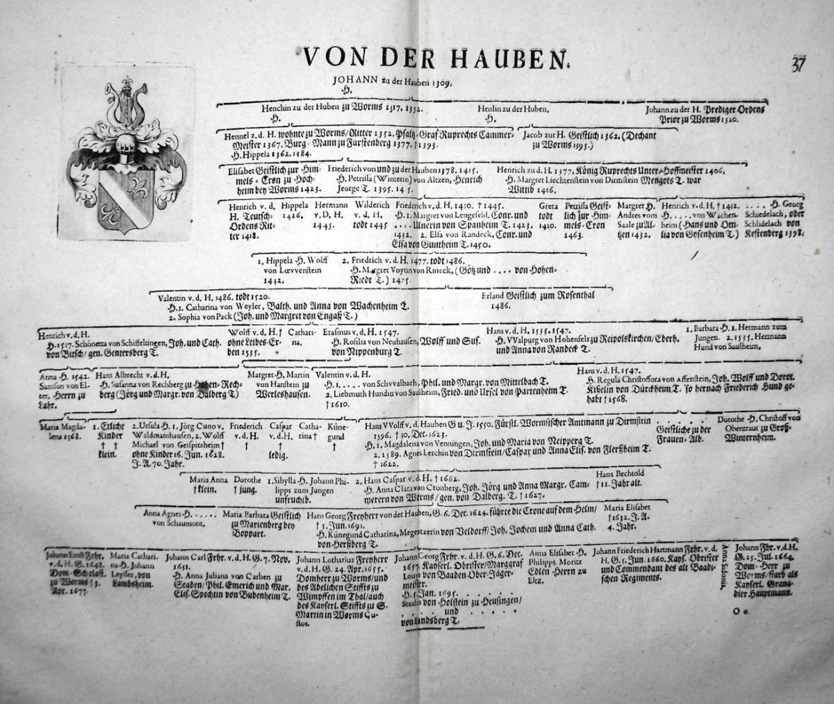 Von Der Hauben - Wappen Stammtafel Kupferstich coat of arms family tree ...