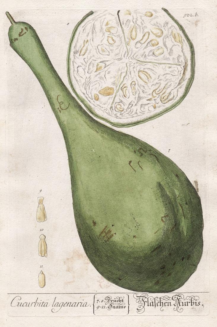 Der Artikel mit der oldhting.de-id 43240019 ist aktuell ausverkauft.