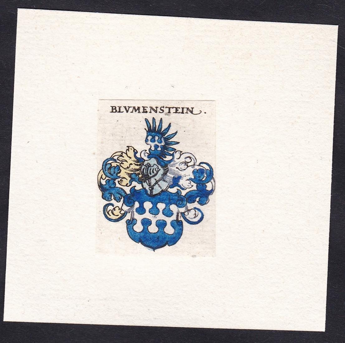 Blumenstein - Wappen Adel coat of arms heraldry... | oldhting.at