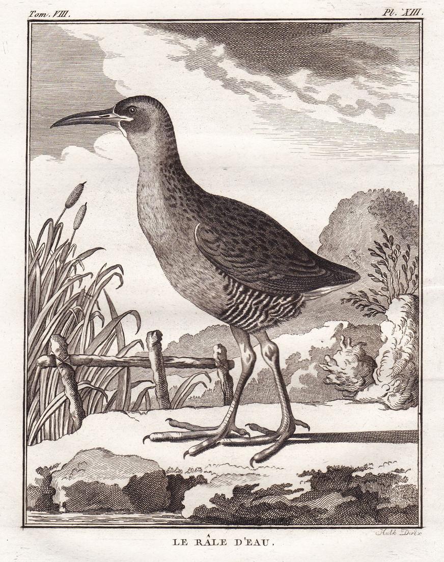 Der Artikel mit der oldhting.de-id 44812890 ist aktuell ausverkauft.