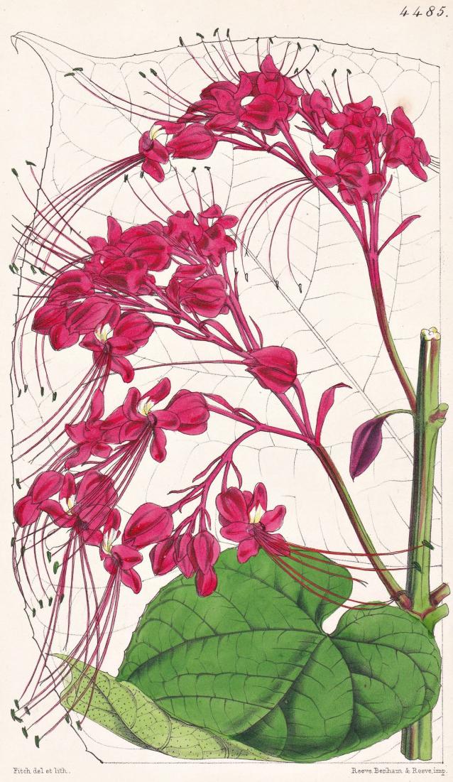 Der Artikel mit der oldhting.de-id 46085020 ist aktuell ausverkauft.