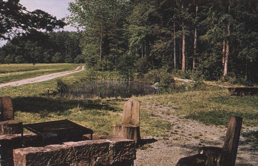 Ältere Postkarte Wildberg Gasthof Pension LÖwen Mit Opel Rekord