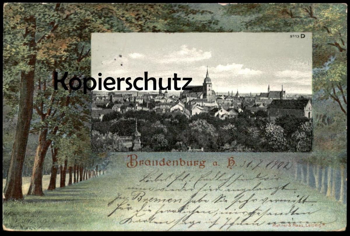 ALTE LITHO POSTKARTE BRANDENBURG AN DER HAVEL PANORAMA DOM ALLEE Bäume ...