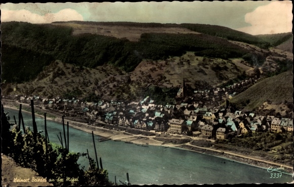 Ak Briedel an der Mosel, Blick auf den Ort vom Weinberg aus Nr. 3680757 ...