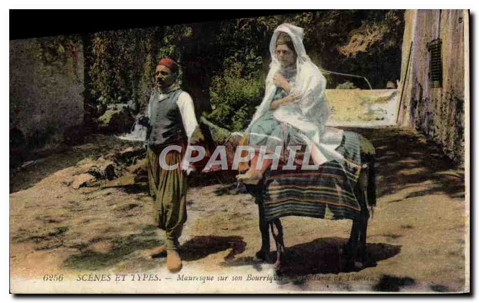 Cartes postales Scenes Et Types Mauresque Sur Son bourriquet Ane mule ...