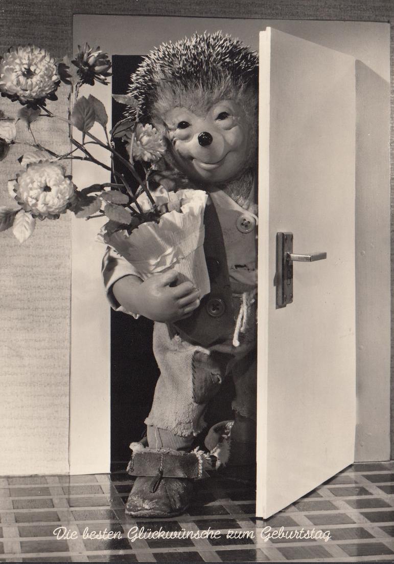 AK Mecki, Die besten Glückwünsche zum... | oldhting.de