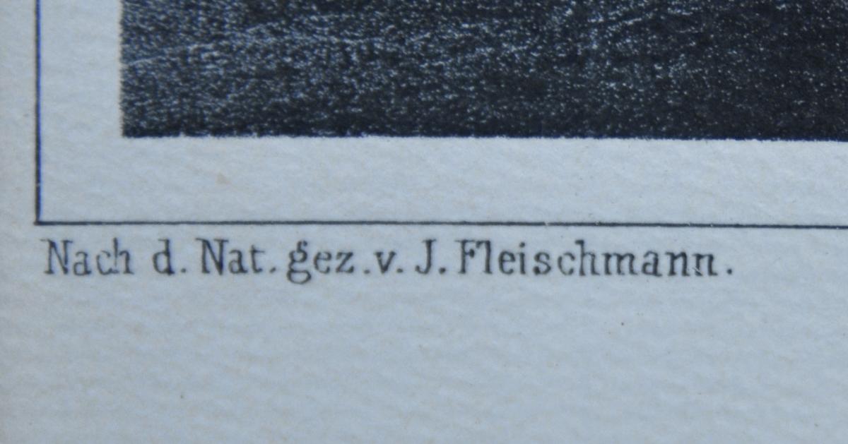Hirschberg, Gesamtansicht, Julius.. | Grafik & Plakate günstig
