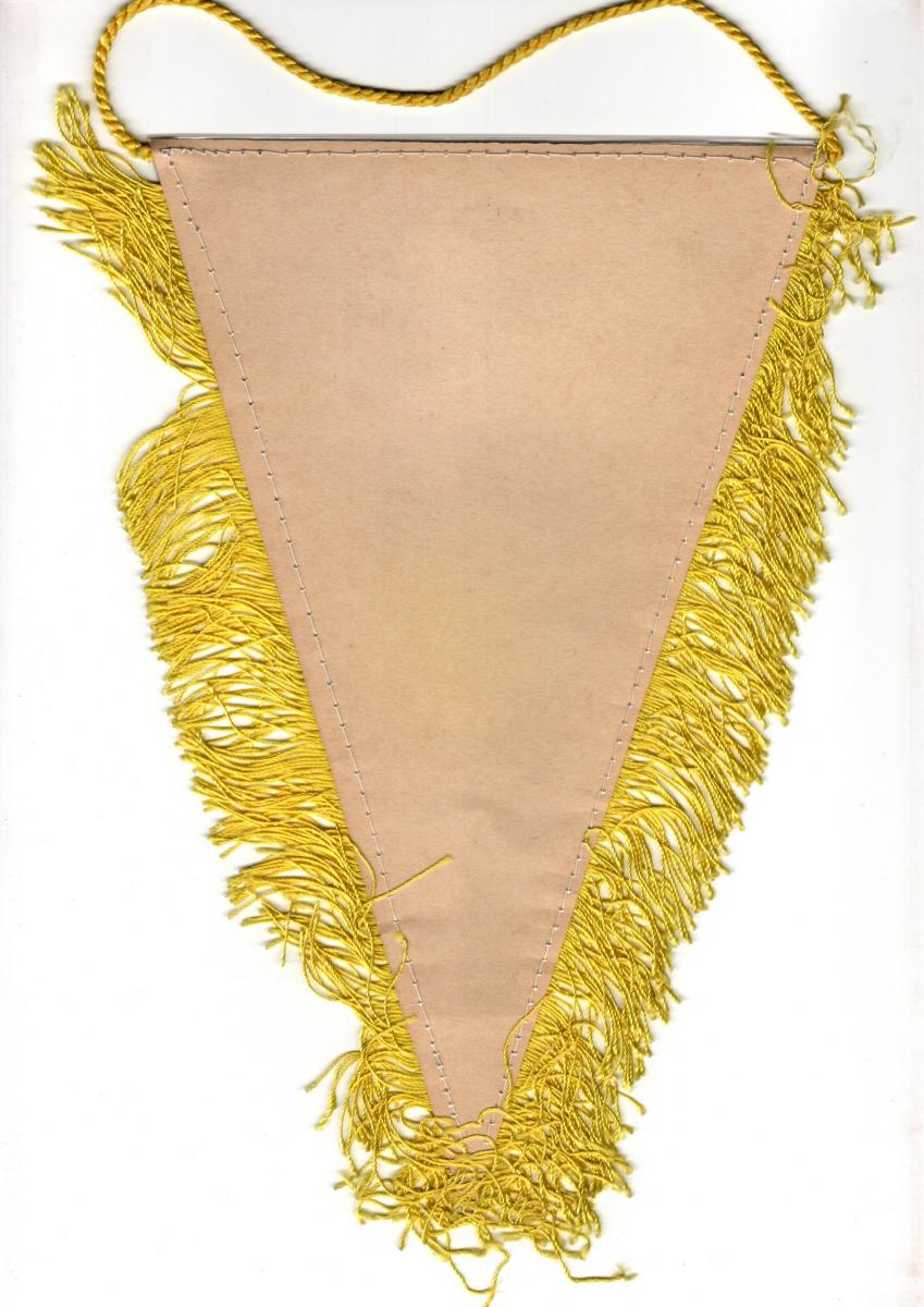 DDR Wimpel FCK Fußballclub Karl - Marx - Stadt Nr. 0090912902 ...