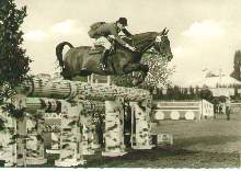 x04565; Fugosa Hermann Schridde. | Ansichtskarten günstig