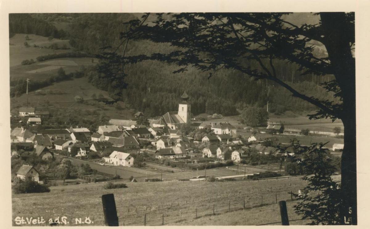 St. Veit an der Glan v. 1966 Dorfansicht (53826) Nr. 618214465 ...