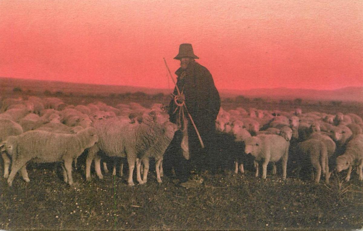 Italy Campagna Romana shepherd with.. | Ansichtskarten günstig