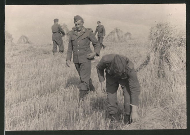 Fotografie Grenze DDR, Soldat der NVA macht Gymnastik auf der Stube Nr ...