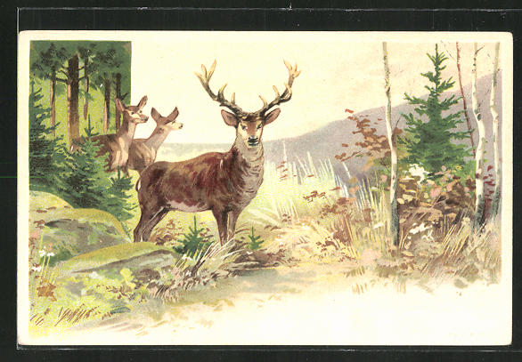 Postcard Künstlerkarte: Gemälde "Hirsch und Rehe im Wald" 1914 Nr ...