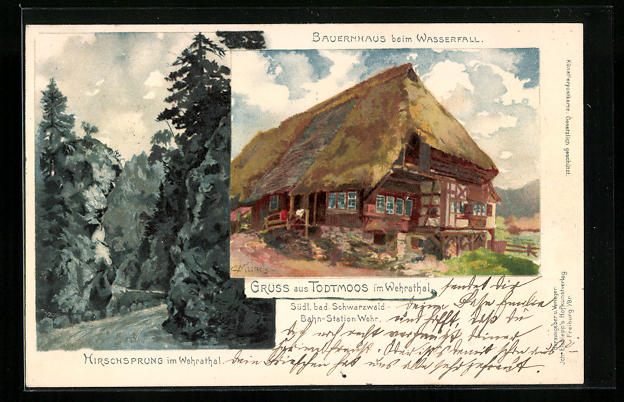 Künstler AK Carl Münch: Todtmoos.. | Ansichtskarten günstig