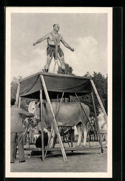 AK Milo Barus hebt eine Kuh, ex-stärkster Mann der Welt Nr. 12144314 ...