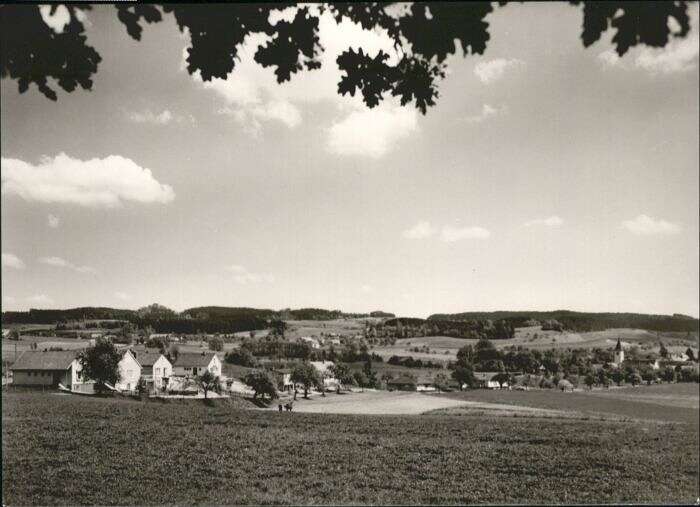 Schlier x Nr. wx41253 - oldthing: Ansichtskarten Baden-Württemberg