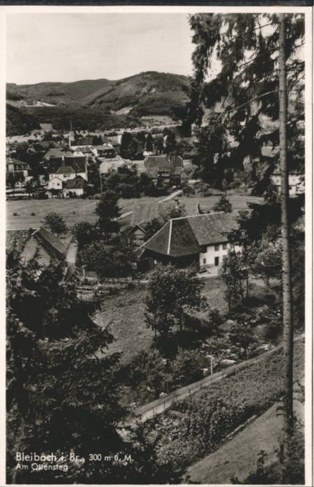 AK / Ansichtskarte Bleibach Panorama Voegelestein Gutach Bleibach Nr ...