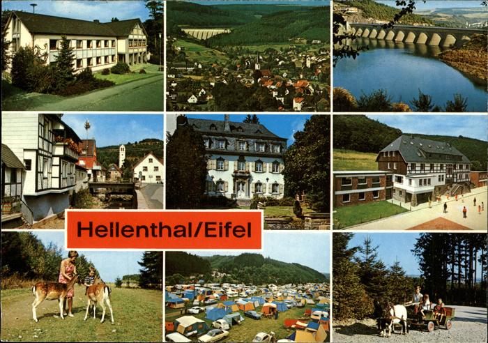 AK / Ansichtskarte Hellenthal Eifel mit Olef Talsperre und Wildfreigehege Fliegeraufnahme Kat ...