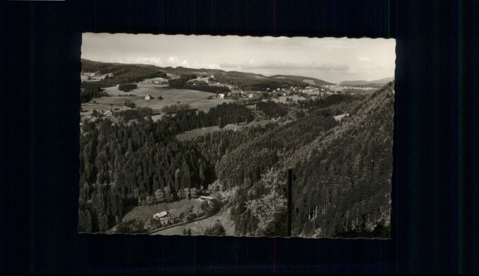 Hinterzarten * | Ansichtskarten günstig
