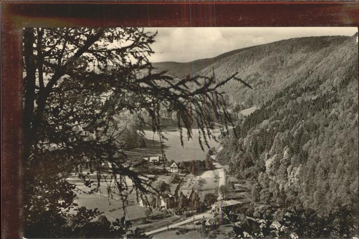 Ilfeld Ilfeld Suedharz Kaltes Tal mit Netzkater Kat. Ilfeld Suedharz Nr ...