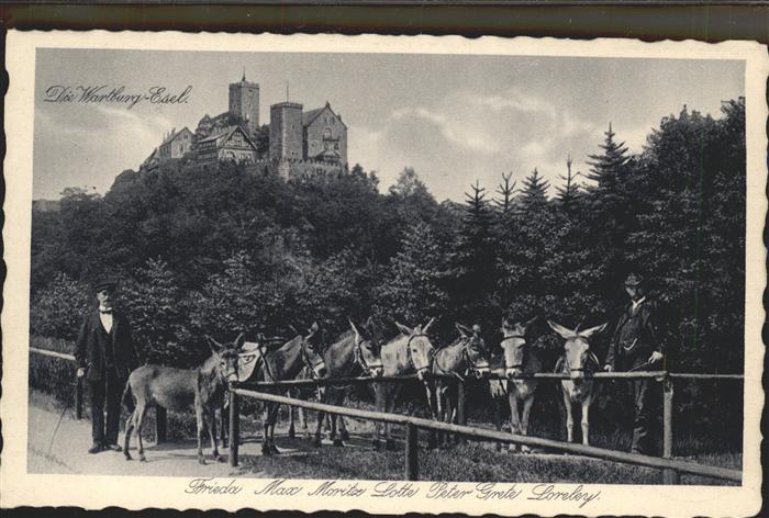 Esel Tiere Wartburg Eisenach Frieda Max Grete Loreley Kat. Tiere Nr ...