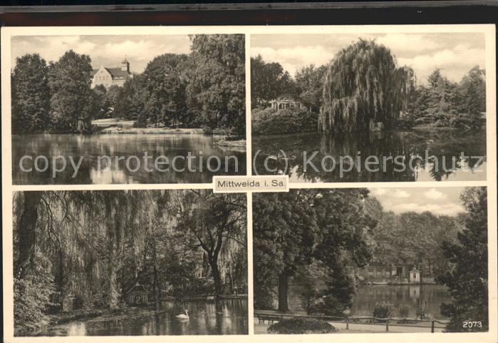 Mittweida Schwanenteich Kat.. | Ansichtskarten günstig