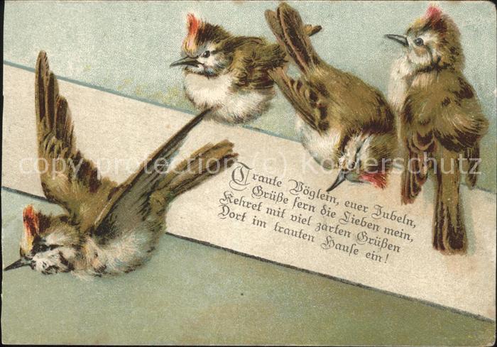 Voegel Gedicht Kat. Tiere | Ansichtskarten günstig