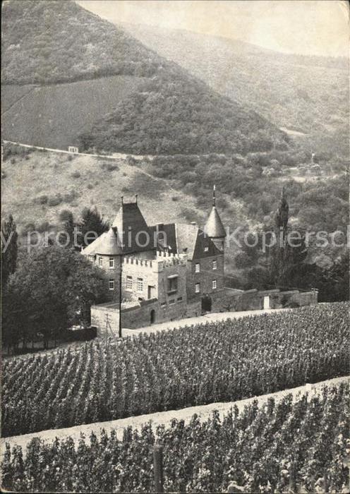Waldrach Schloss Marienlay Nr. wq94801 - oldthing: Ansichtskarten ...