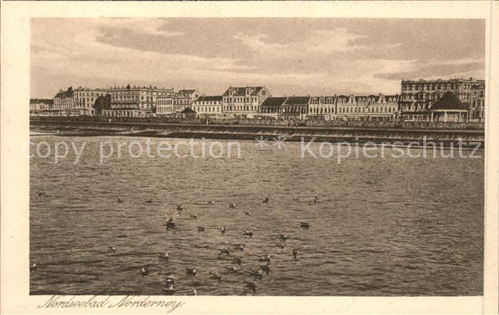 POSTKARTE NORDSEEBAD NORDERNEY FKK nudity nudist nude nudiste surfing horse riding North Sea cpa ...