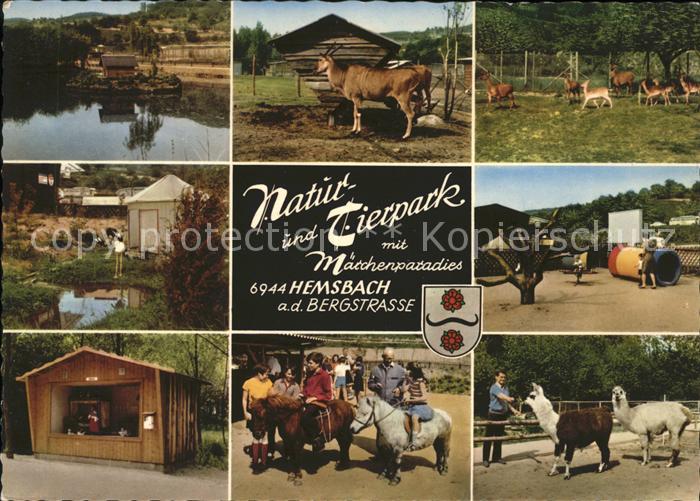 Hemsbach Bergstrasse Natur und Tierpark mit Maerchenparadies Ponyreiten ...