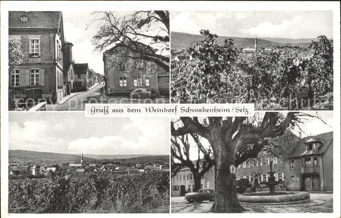Schwabenheim / Schwabenheim an der Selz /Mainz-Bingen LKR Nr. cx36588 ...