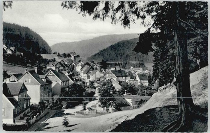 Lautenthal Harz Lautenthal Bischofstal * / Langelsheim /Goslar LKR Nr ...