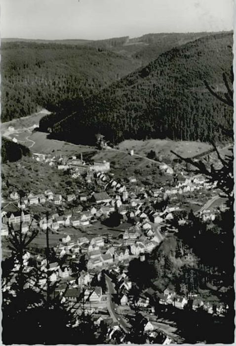 AK Calmbach, Heilstätte Charlottenhöhe Nr. 7997204 - oldthing ...