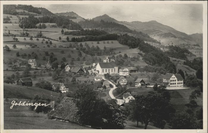 Goldingen Goldingen * / Goldingen /Bz. See-Gaster Nr. cx14794 ...