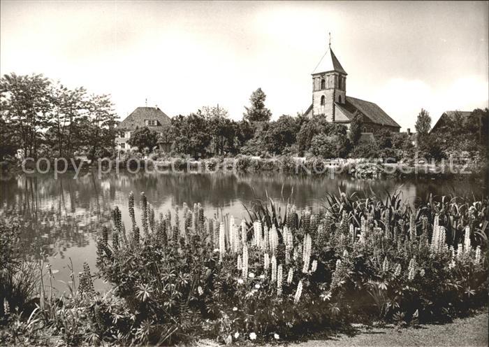 AK / Ansichtskarte Achern Baden Denkmal Stadtgarten Rathaus ...
