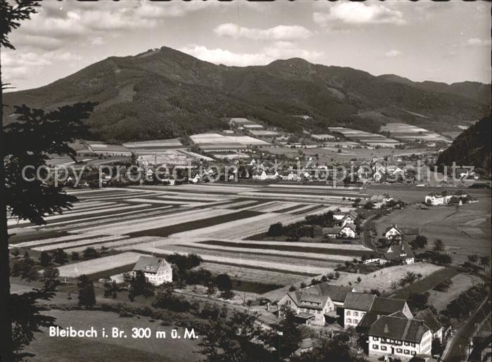 Bleibach Luftbild Kat. Gutach im Breisgau Nr. wz19153 - oldthing ...