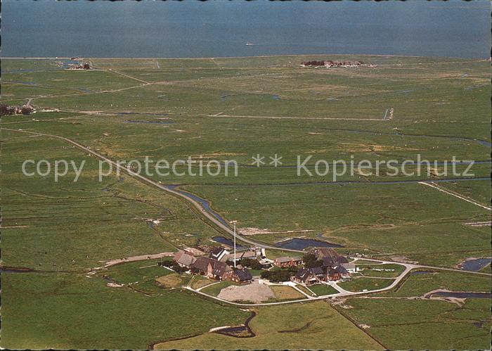 Hallig Hooge Ockenswarft Hanswarft Kirchwarft und Backenswarft ...