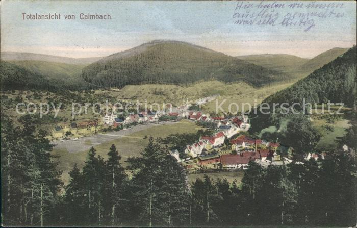 Calmbach Enz Kat. Bad Wildbad Nr. dk29405 - oldthing: Ansichtskarten ...