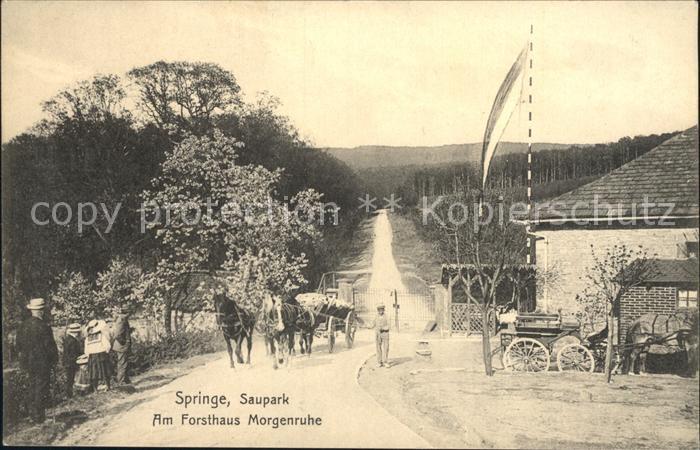 Springe Deister Saupark Forsthaus Morgenruhe / Springe /Region Hannover ...
