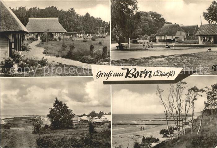 Born Darss Am Saaler Bodden Kat. Born Darss Nr. kv66553 - oldthing ...