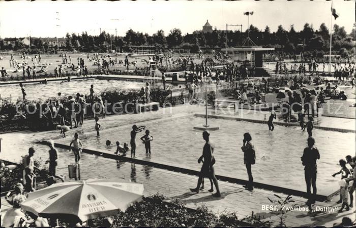 Best Zwembad Dolfijn | Ansichtskarten günstig