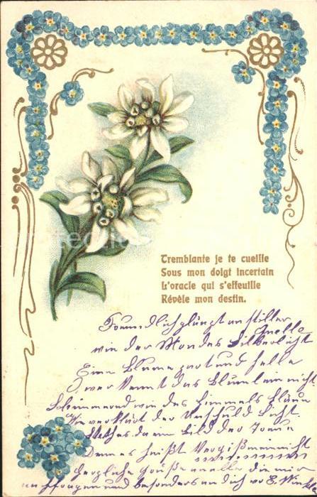 Edelweiss Gedicht Veilchen Kat. Pflanzen Nr. st40943 - oldthing ...