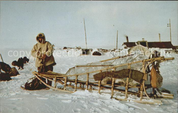 Schlitten Schnee Eskimo Sled Alaska Kat. Sport Nr. st57696 - oldthing ...