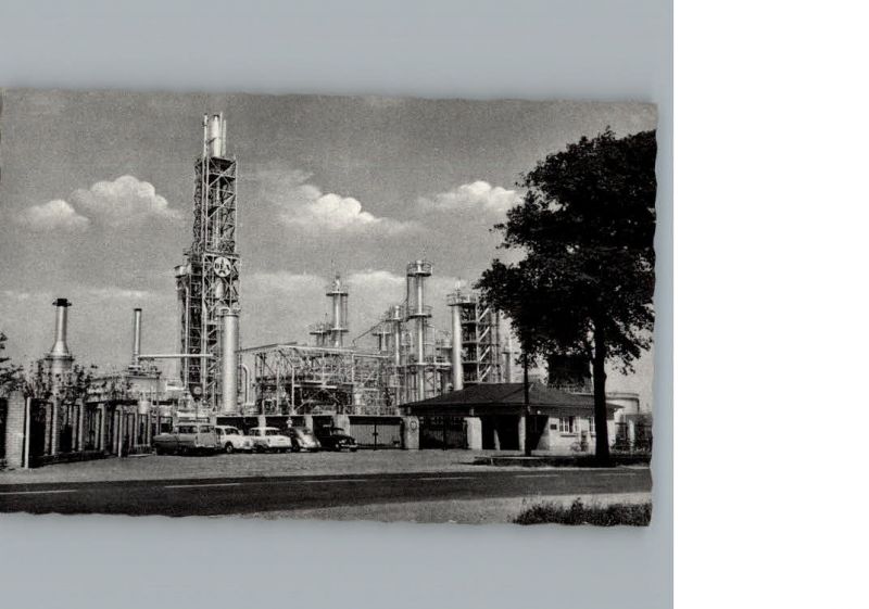 Heide Holstein / Heide /Dithmarschen LKR Nr. k102050 - oldthing ...