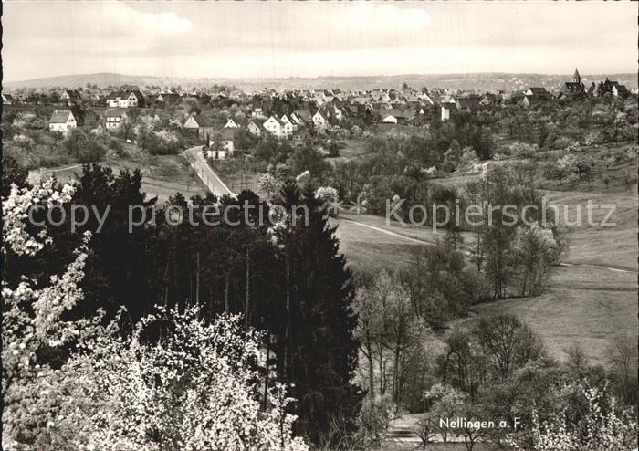 Nellingen Alb Nellingen a. F. Kat. Nellingen Nr. cx66355 - oldthing ...